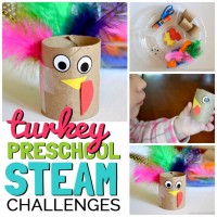 Easy Turkey Preschool STEM Activities