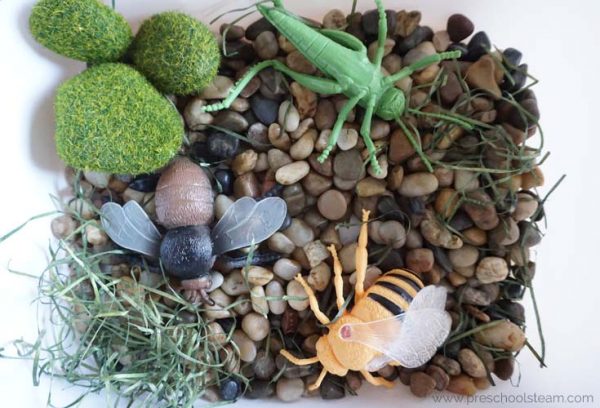 Bug Safari: A Preschool STEAM Adventure - Preschool STEAM