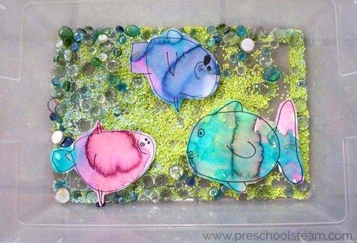 Day 2: Red Fish, Blue Fish, One Fish, Two Fish - Preschool STEAM