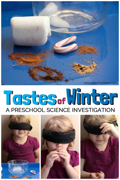 Tastes of Winter: A Preschool Science Activity