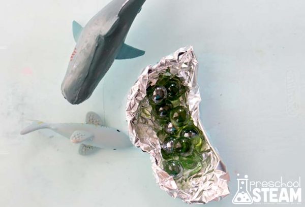 Shark Week Challenge | A STEM Activity for Preschoolers