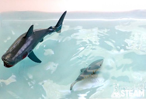 Shark Week Challenge | A STEM Activity for Preschoolers