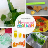 Leaf Science Experiments for Preschoolers