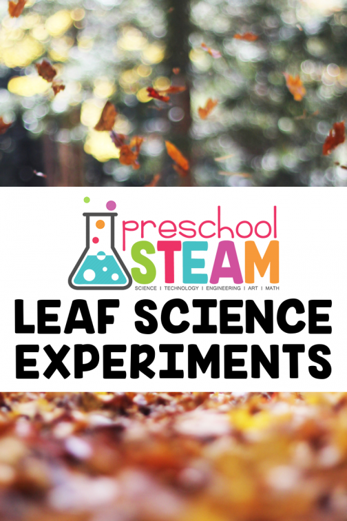 Leaf Science Experiments for Preschoolers