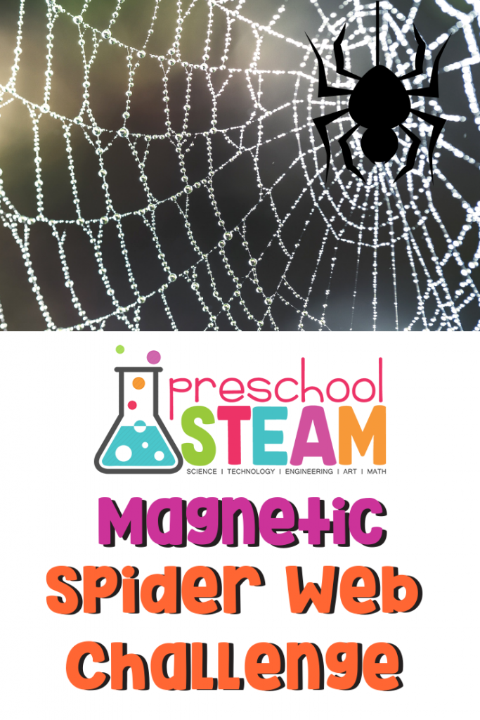 Magnetic Spider: STEAM Challenge