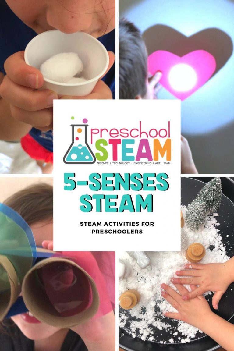 Exploring the 5 Senses with STEAM
