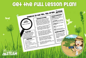 Preschool STEAM - STEAM Activities for Preschoolers