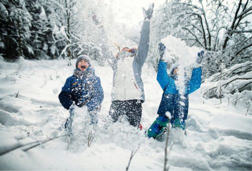Winter Wonders: Exploring Wildlife with STEAM for Preschoolers ...