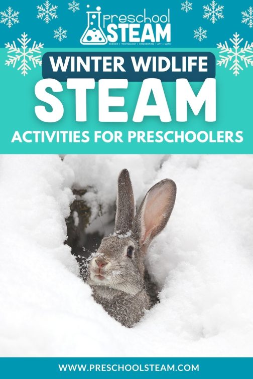 Preschool STEAM - STEAM Activities for Preschoolers