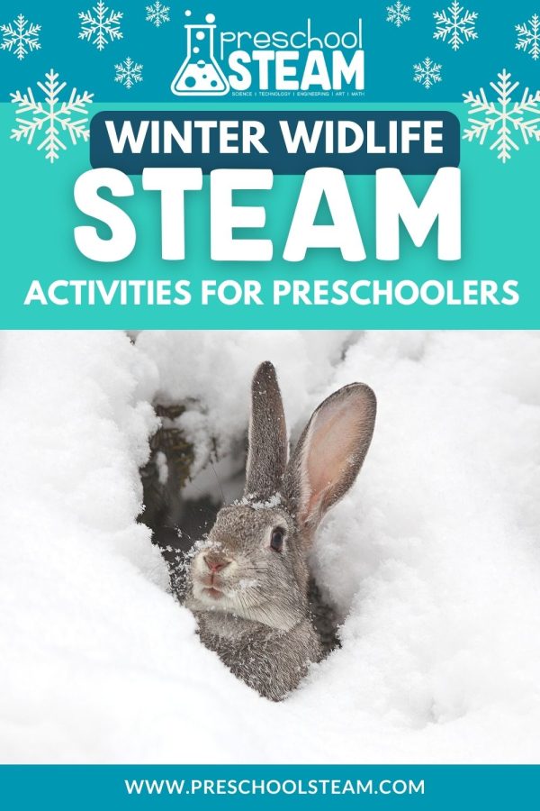 Preschool STEAM - STEAM Activities for Preschoolers