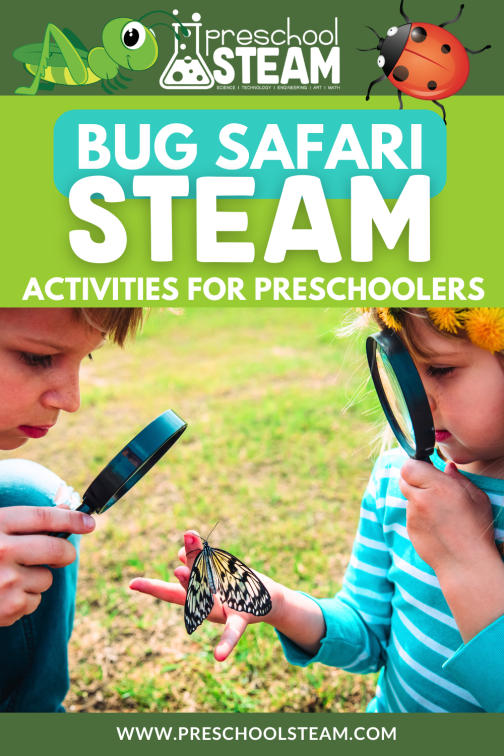 Bug Safari: A Preschool STEAM Adventure - Preschool STEAM