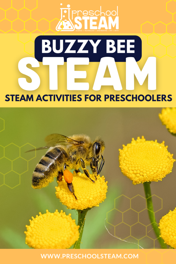 Get Started with STEAM Activities for Preschoolers
