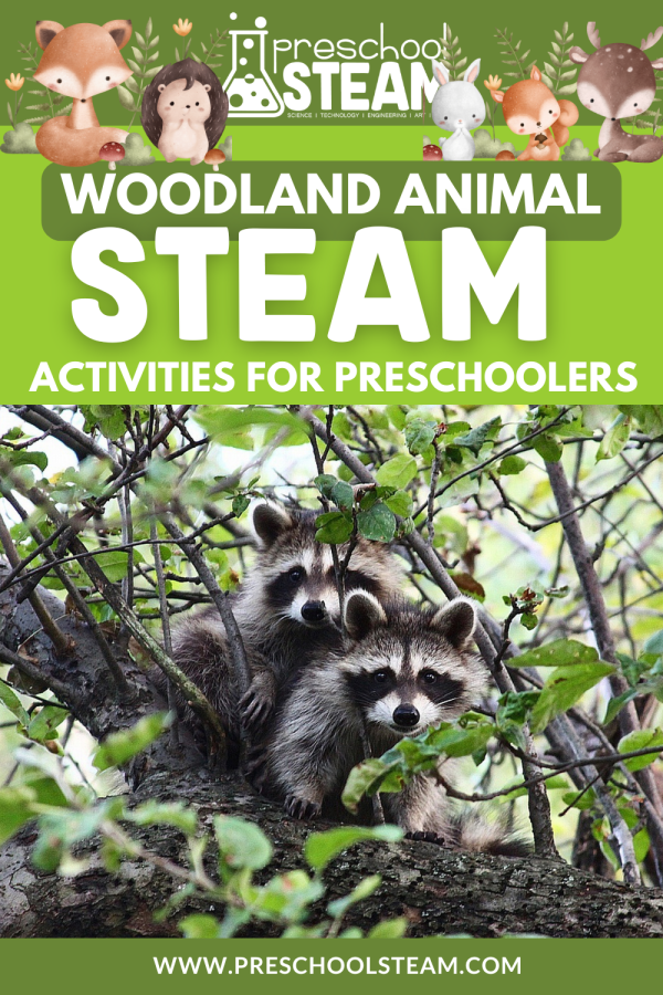Exploring Woodland Animals Through Play-Based STEAM - Preschool STEAM