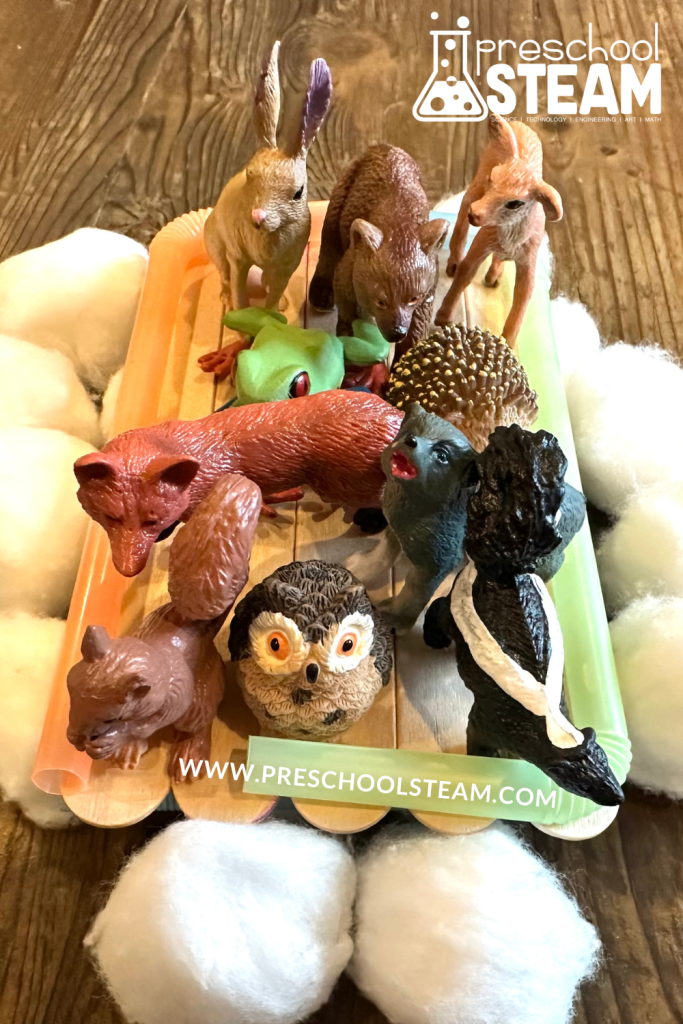 Sliding into STEAM Fun with Ten on the Sled - Preschool STEAM