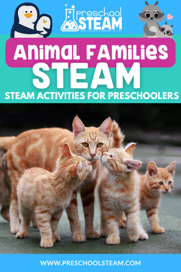 Preschool STEAM - STEAM Activities for Preschoolers