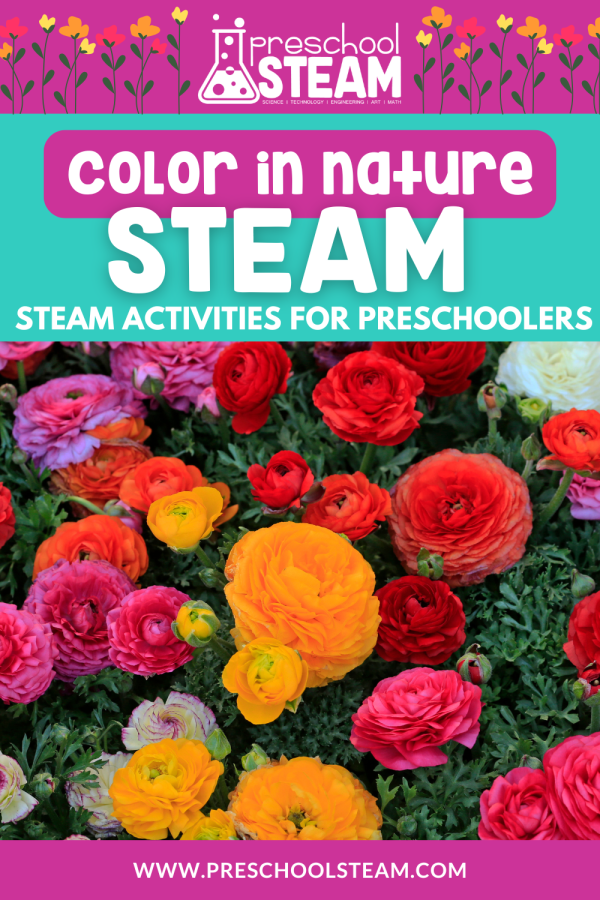 Simple and Fun Ways to Explore Colors in Nature - Preschool STEAM