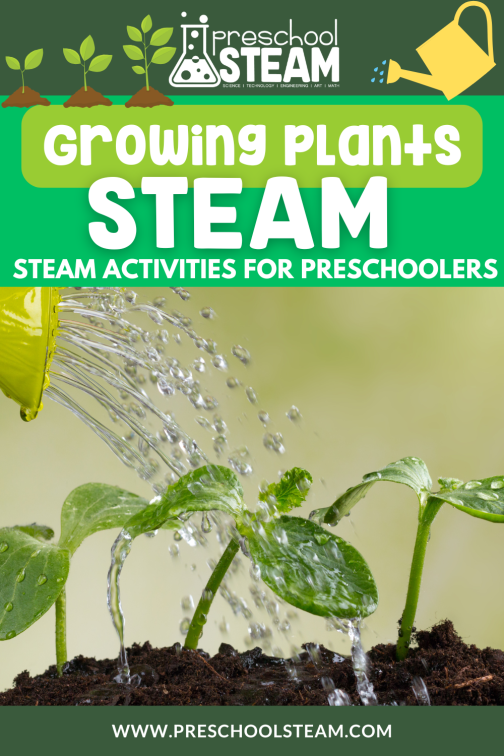 Explore How Plants Grow - Preschool STEAM