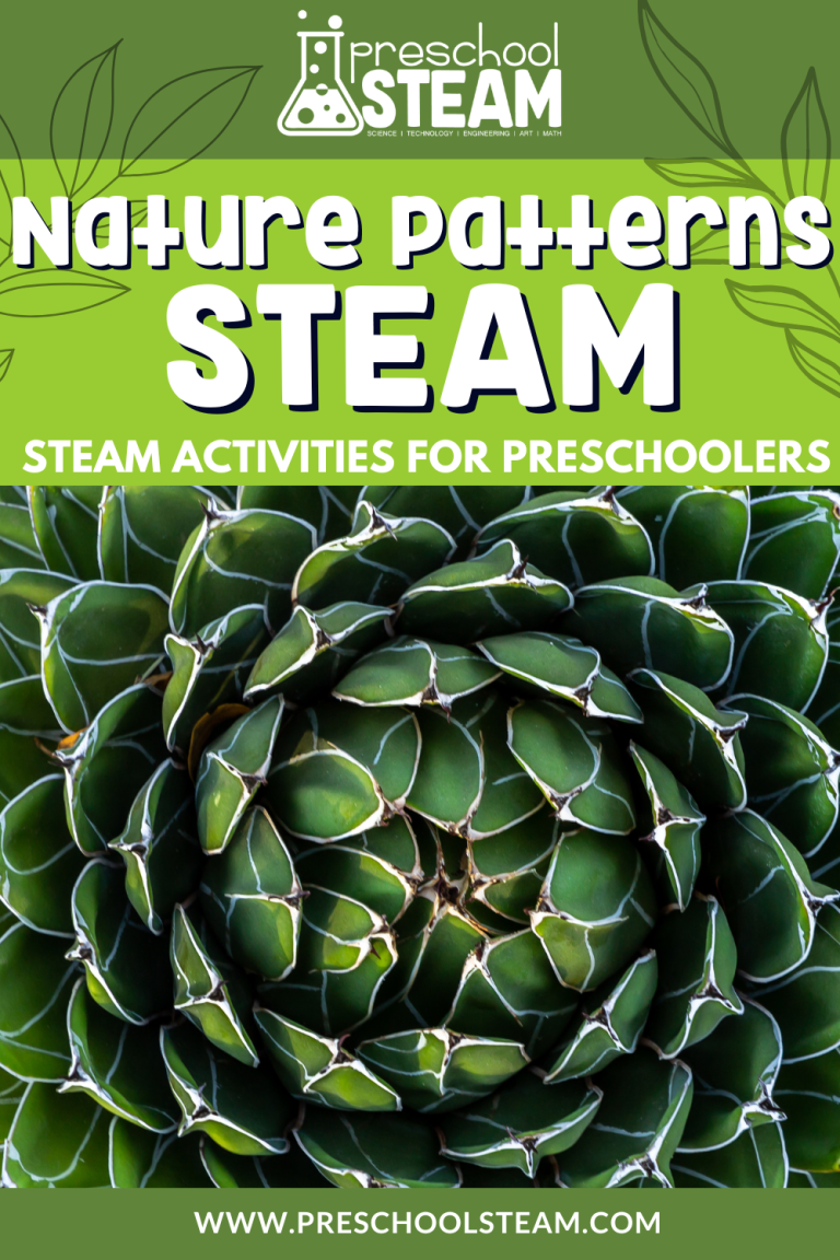 The Magic of Patterns in Nature: How to Help Preschoolers Notice and ...