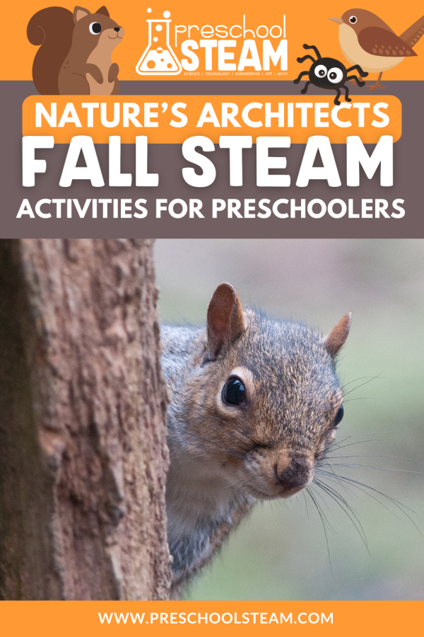 Preschool STEAM - STEAM Activities for Preschoolers