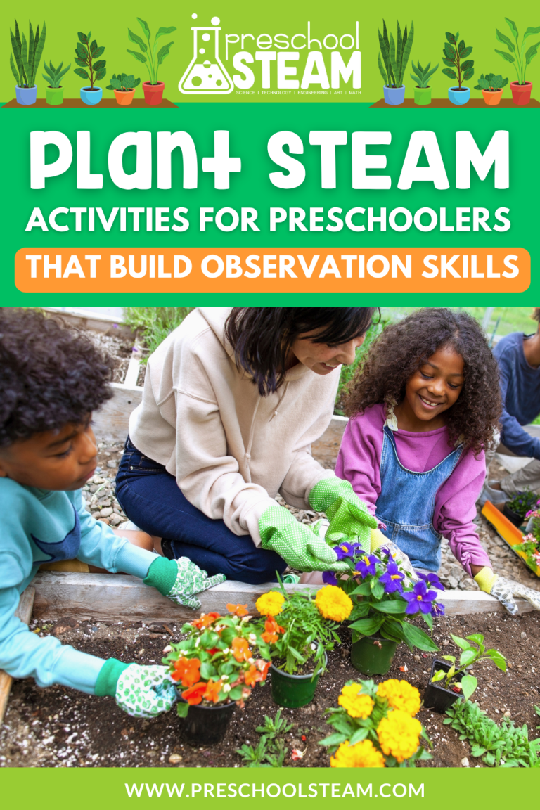 Plant STEAM Activities for Preschool (That Build Real Observation ...